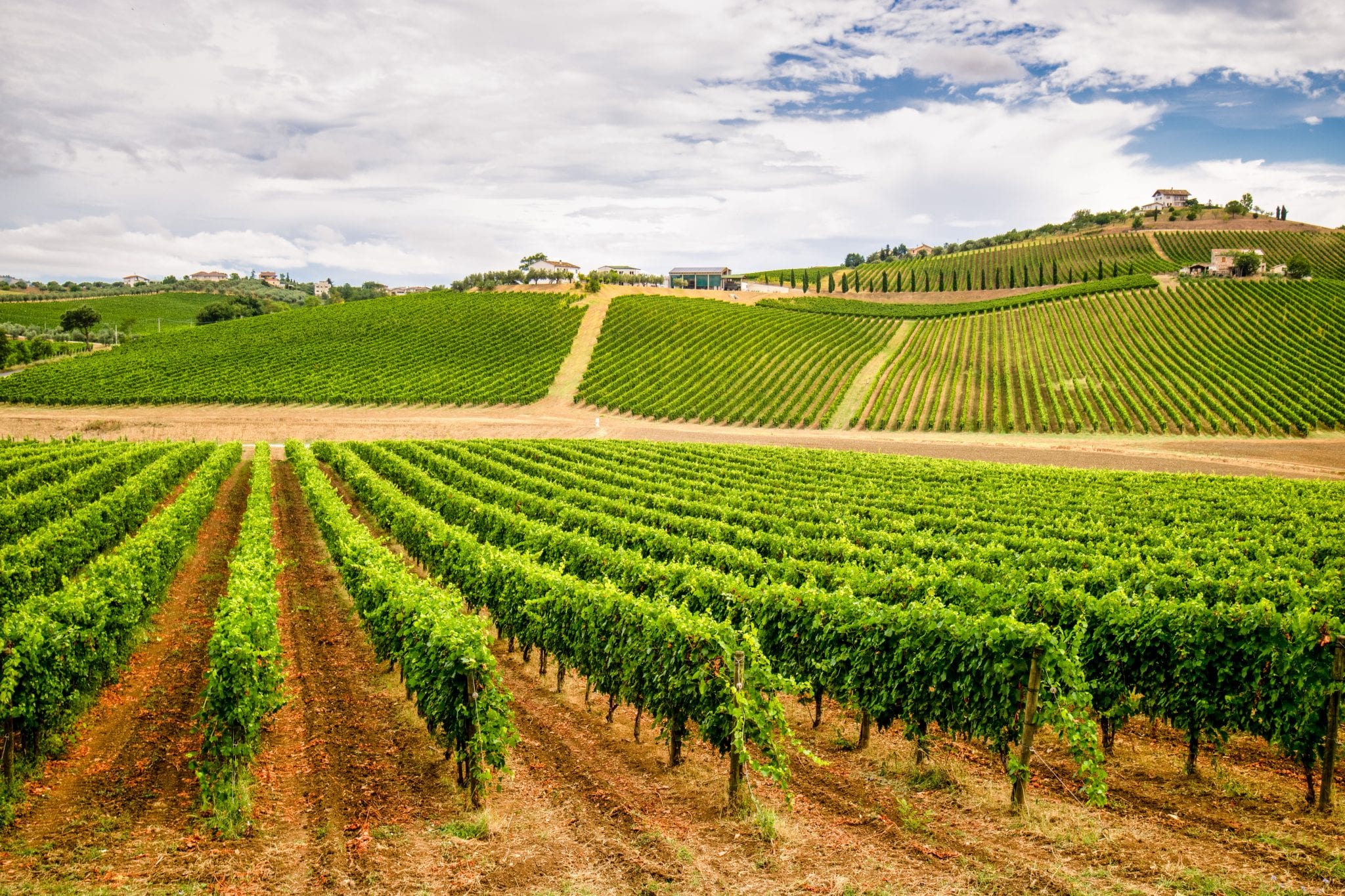 7 Highly Underrated Rosé Regions We Love | Monarch Wine