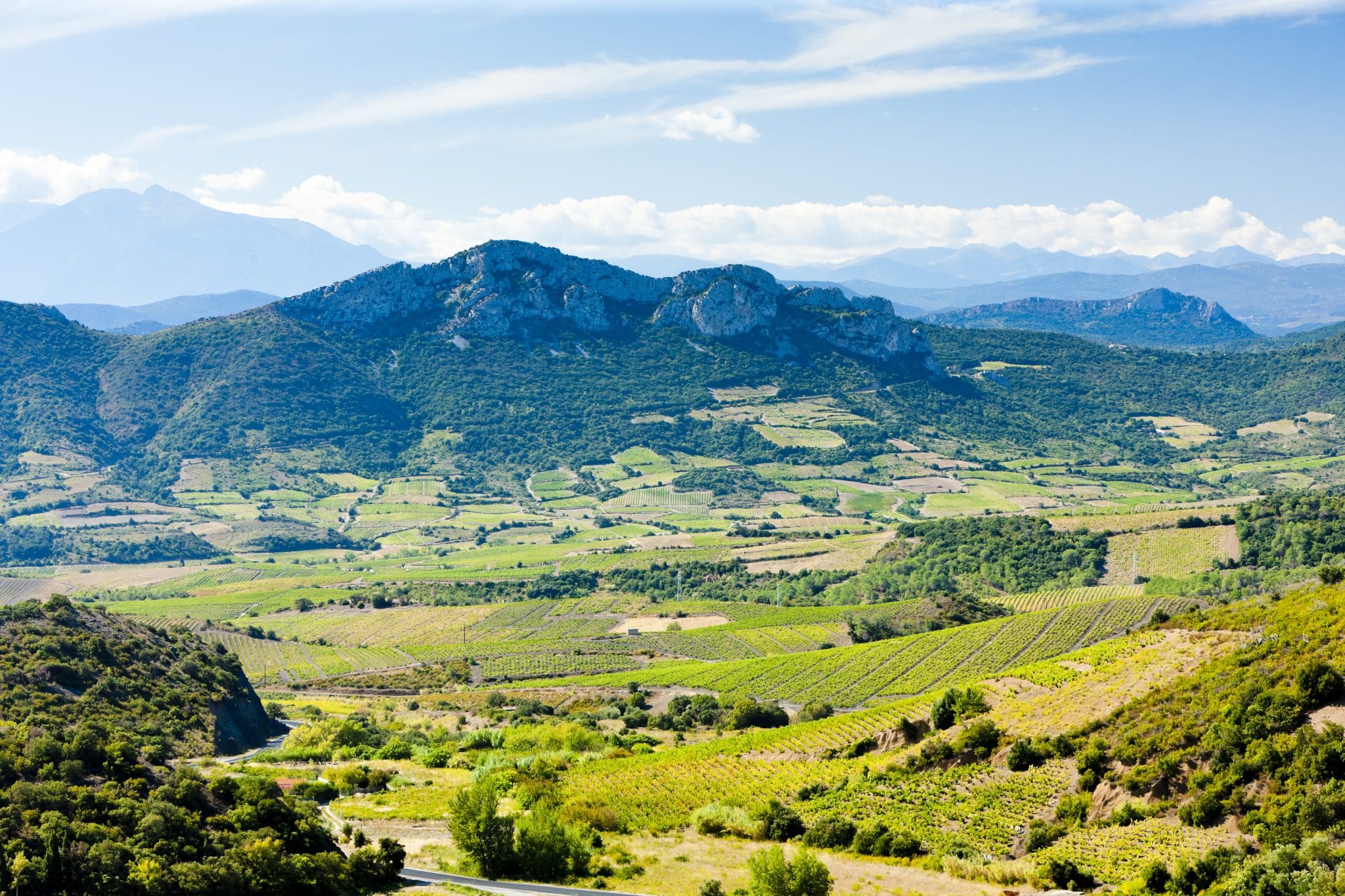 7 Highly Underrated Rosé Regions We Love | Monarch Wine