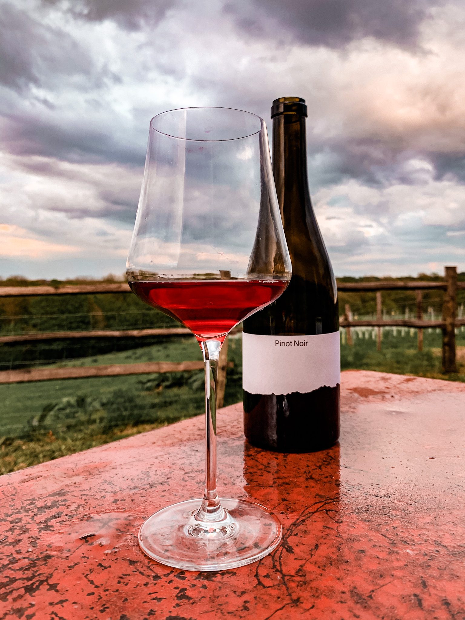 Tillingham: English Wine Wonderland | Monarch Wine