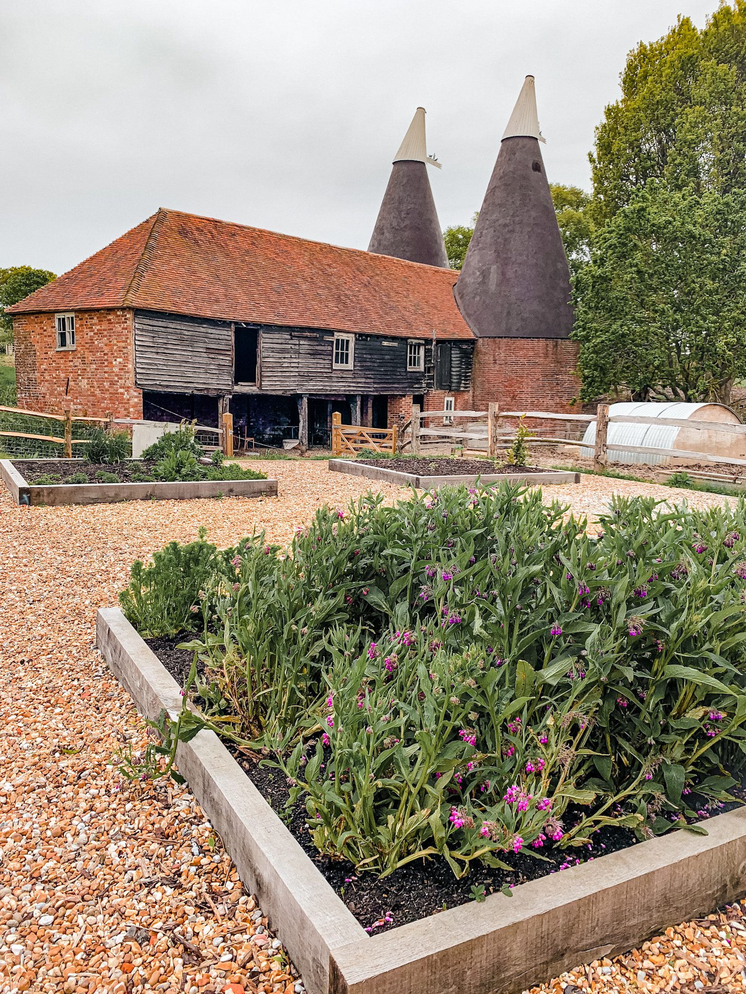 Tillingham: English Wine Wonderland | Monarch Wine