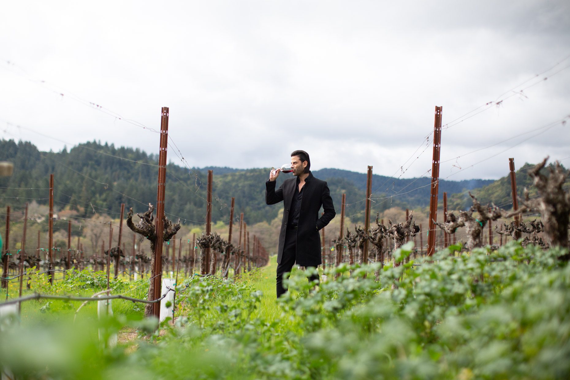A Modern Day Renaissance Man | Monarch Wine