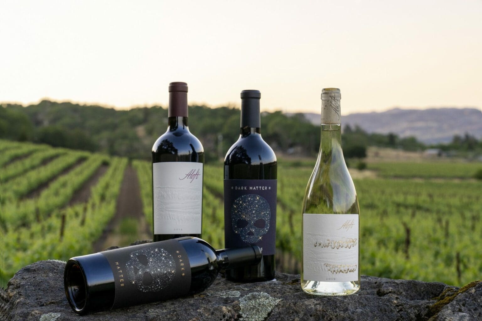 Angelina MondaviThe Winemaker and her Sisters | Monarch Wine