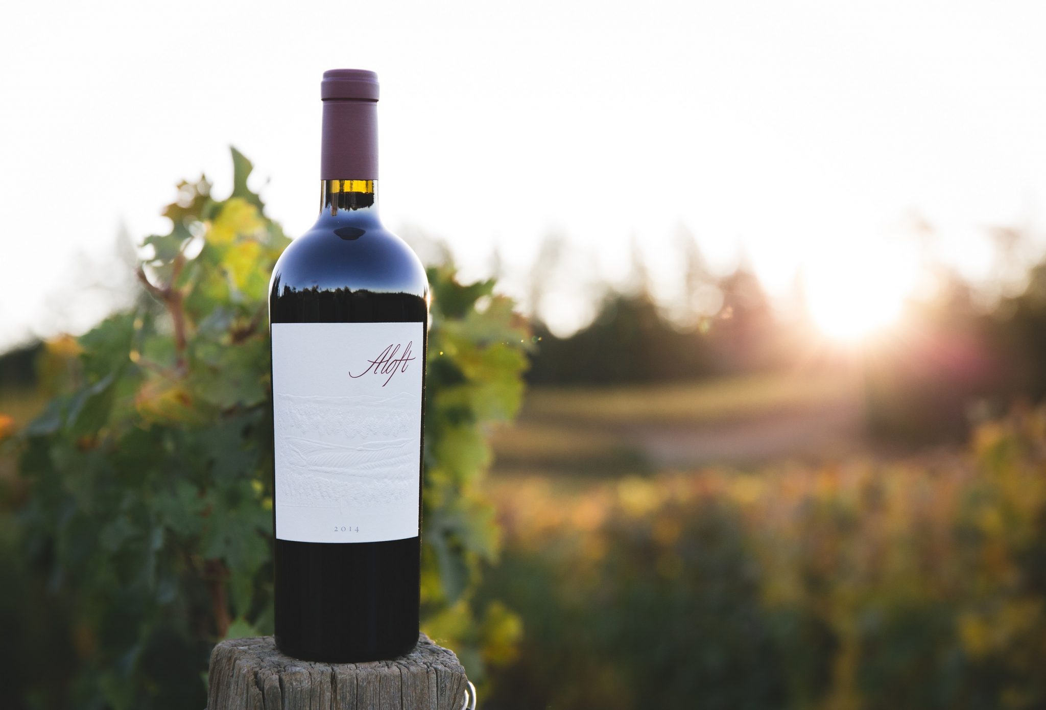 Angelina MondaviThe Winemaker and her Sisters | Monarch Wine