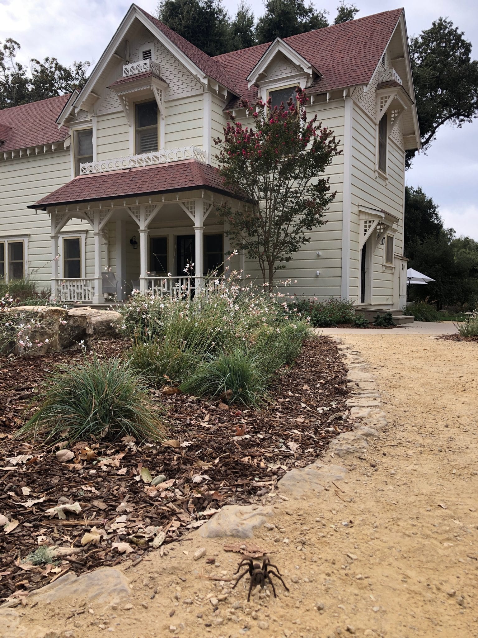 Halter Ranch | Monarch Wine