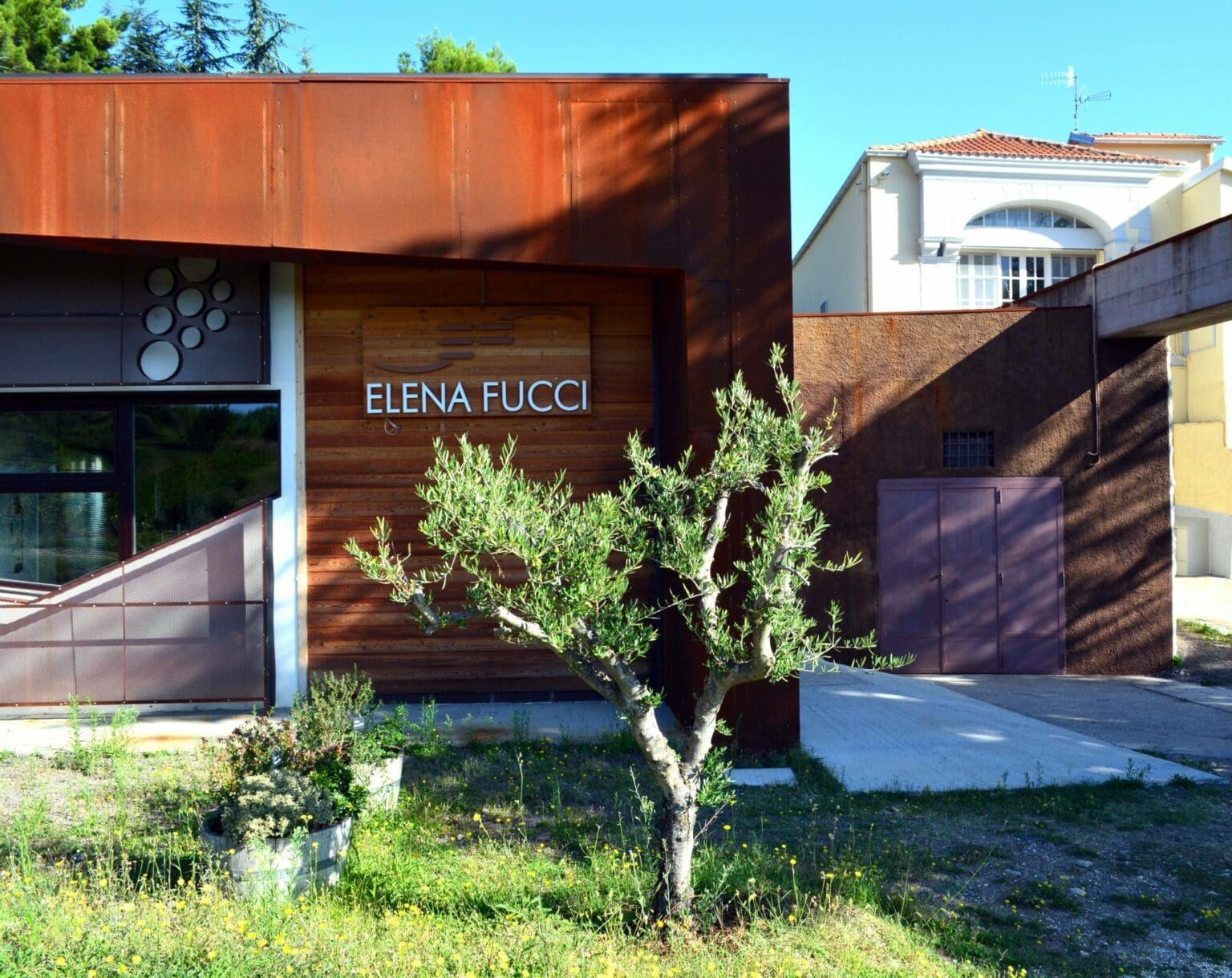 Elena Fucci: A Revolutionary in the South of Italy | Monarch Wine