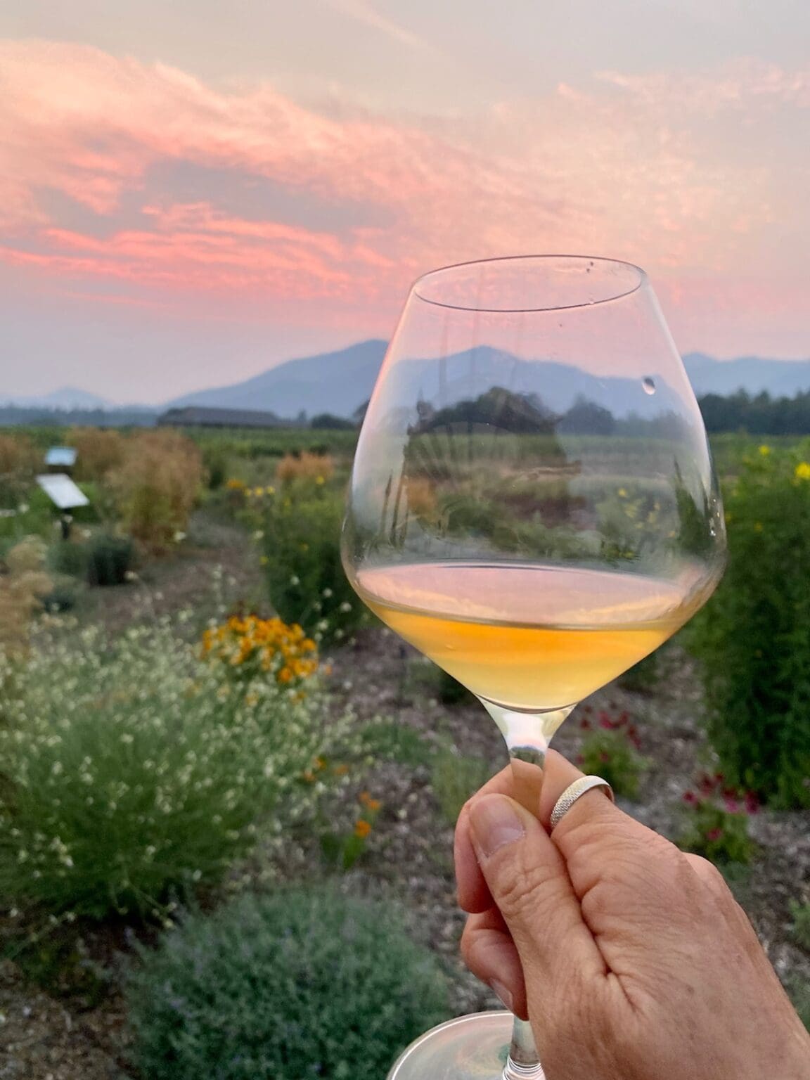 A Creative Harmony of Wine, Music, Art, Food, Adventure | Monarch Wine