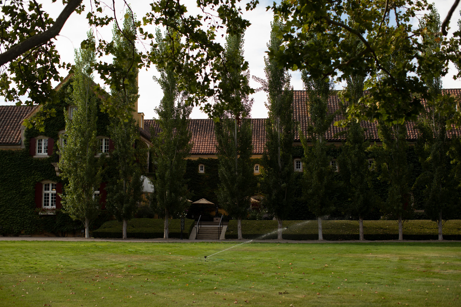 50 Years of Jordan Winery | Monarch Wine