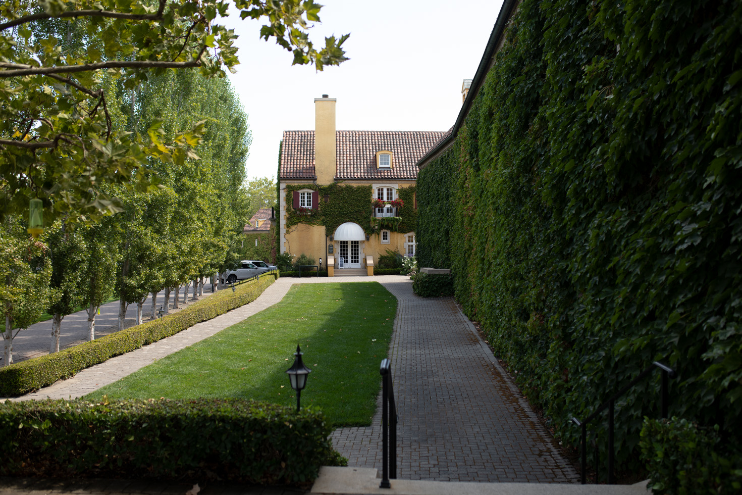 50 Years of Jordan Winery | Monarch Wine