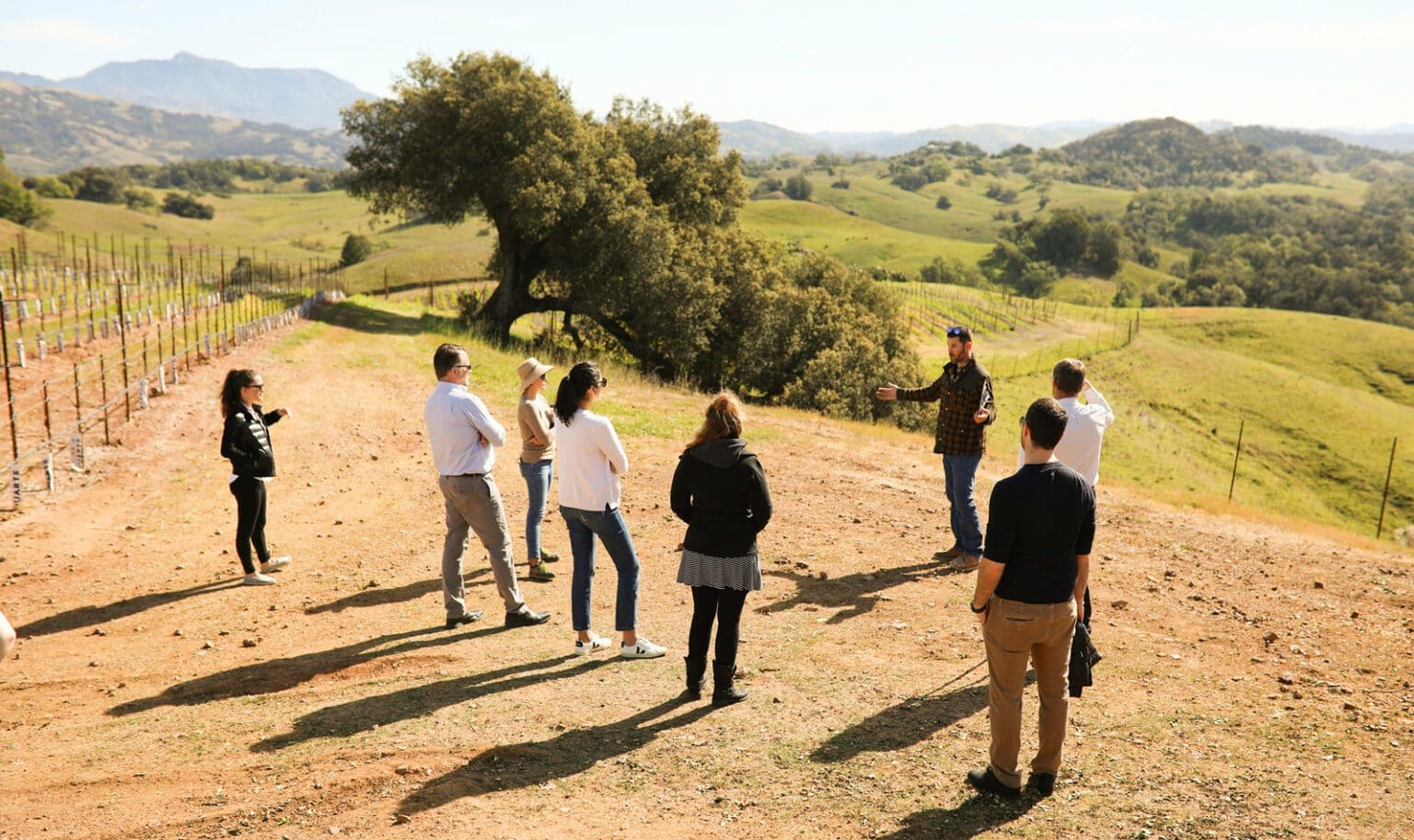 50 Years of Jordan Winery | Monarch Wine