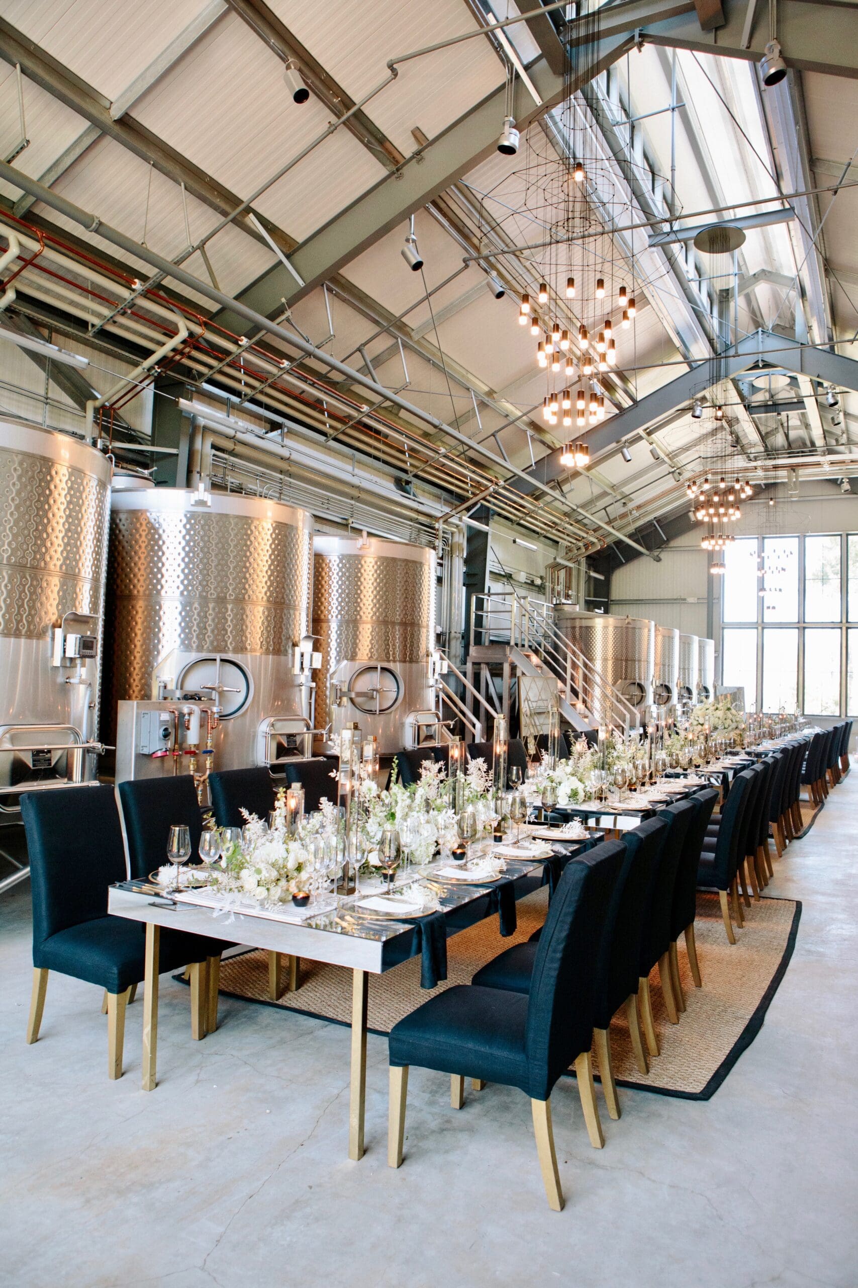 Theorem Vineyards | Monarch Wine