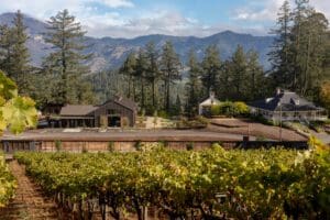 Theorem Vineyards | Monarch Wine