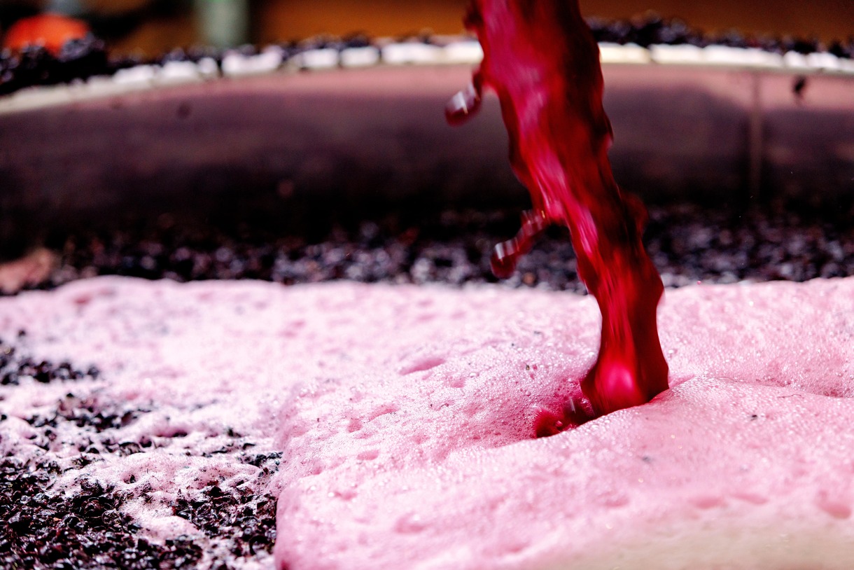 Exploring The Wine Of BC’s Naramata Bench | Monarch Wine