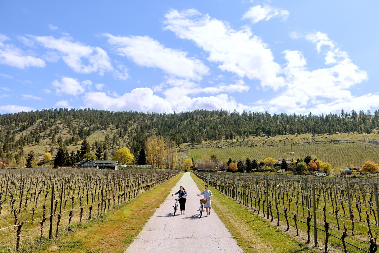 Exploring The Wine Of BC’s Naramata Bench | Monarch Wine