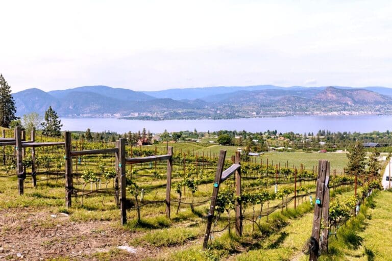 Exploring The Wine Of BC’s Naramata Bench | Monarch Wine
