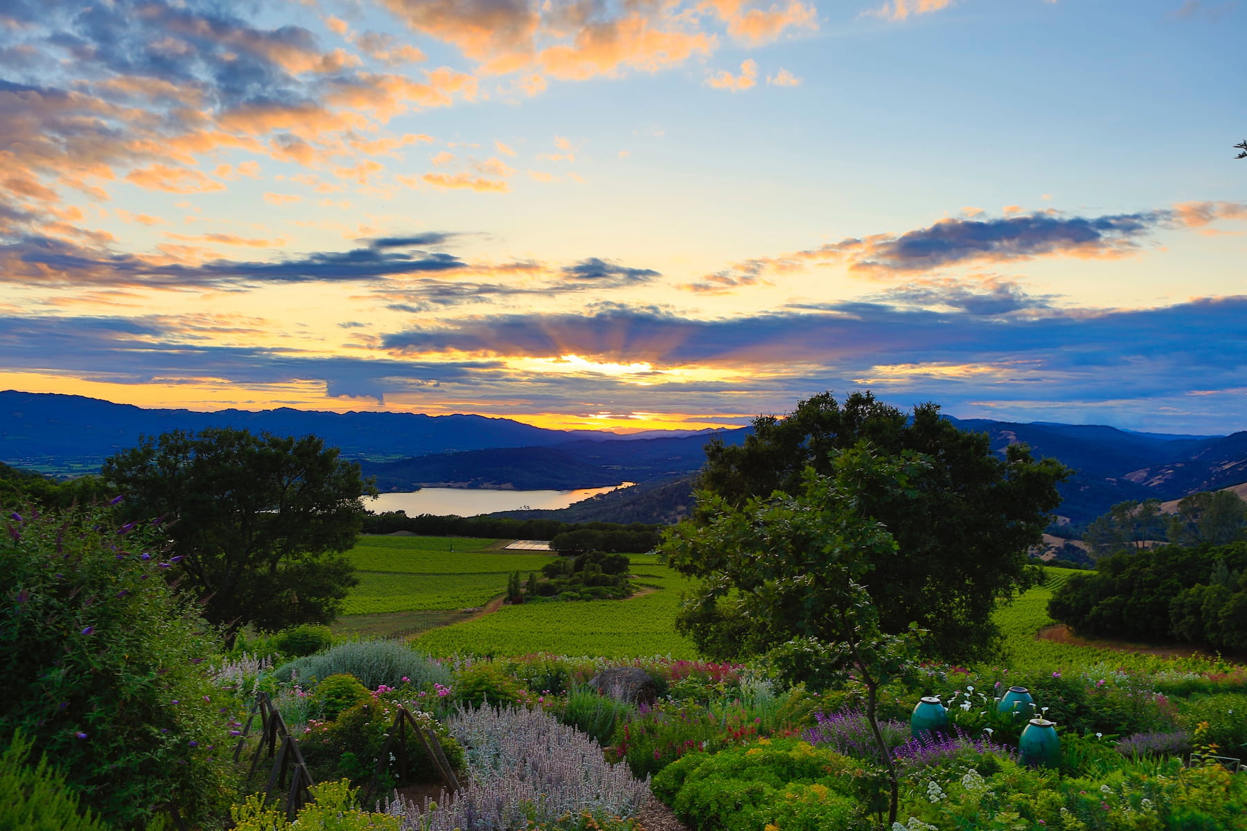 Chappellet: The Vision, The Family, The Wines | Monarch Wine